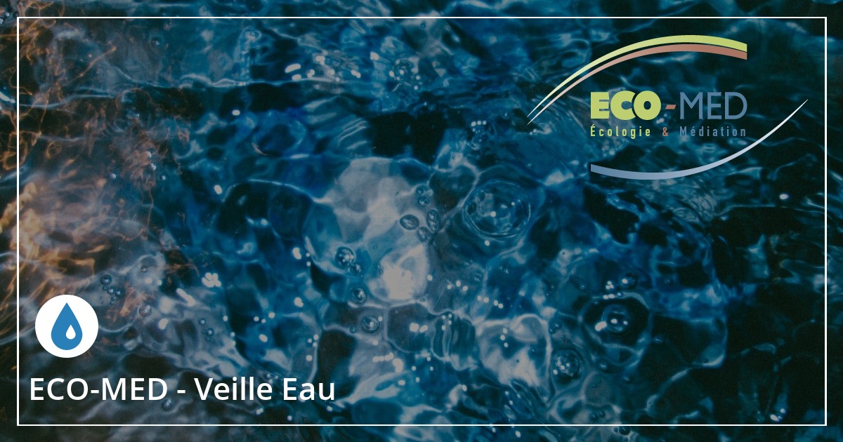 ECO-MED - Veille Eau