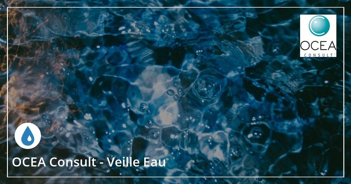OCEA Consult - Veille Eau