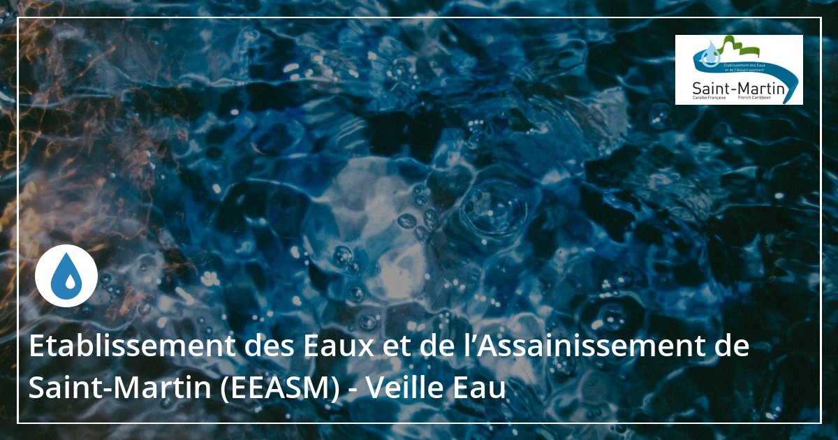 Etablissement des Eaux et de l’Assainissement de Saint-Martin (EEASM ...