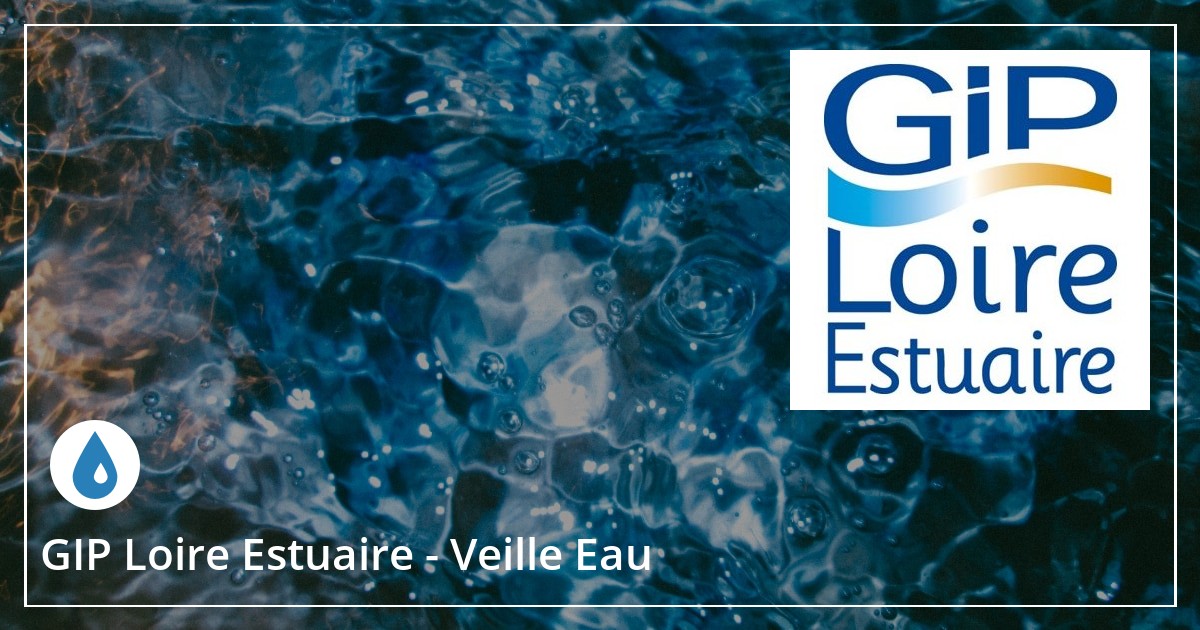GIP Loire Estuaire - Veille Eau