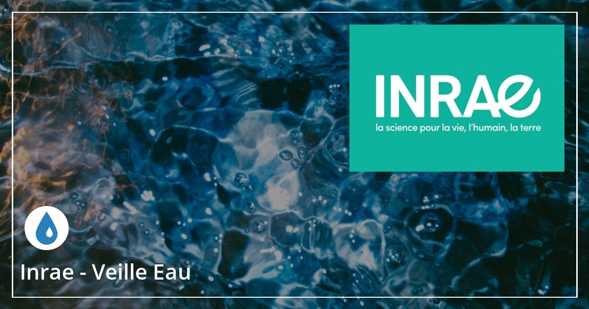 Inrae - Veille Eau