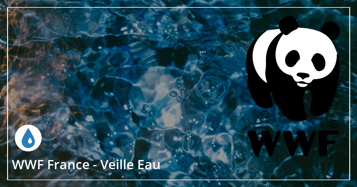 WWF France - Veille Eau