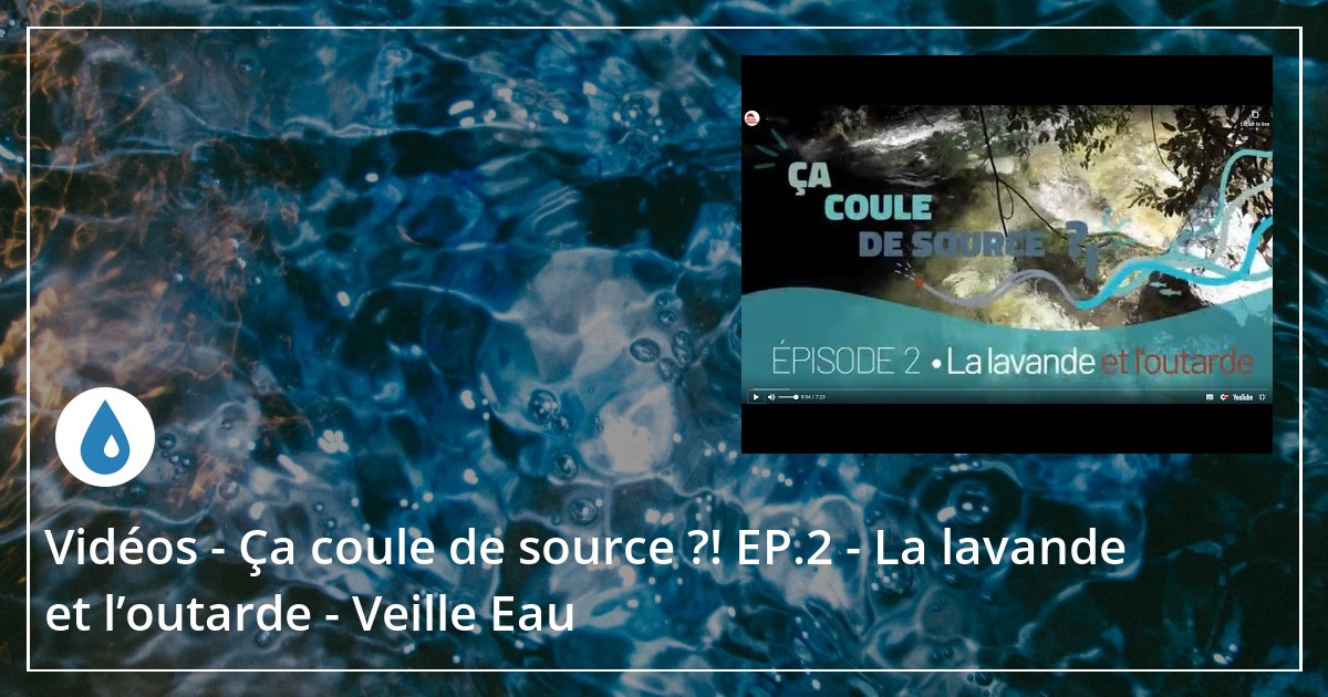 Vidéos - Ça coule de source ?! EP.2 - La lavande et l’outarde - Veille Eau