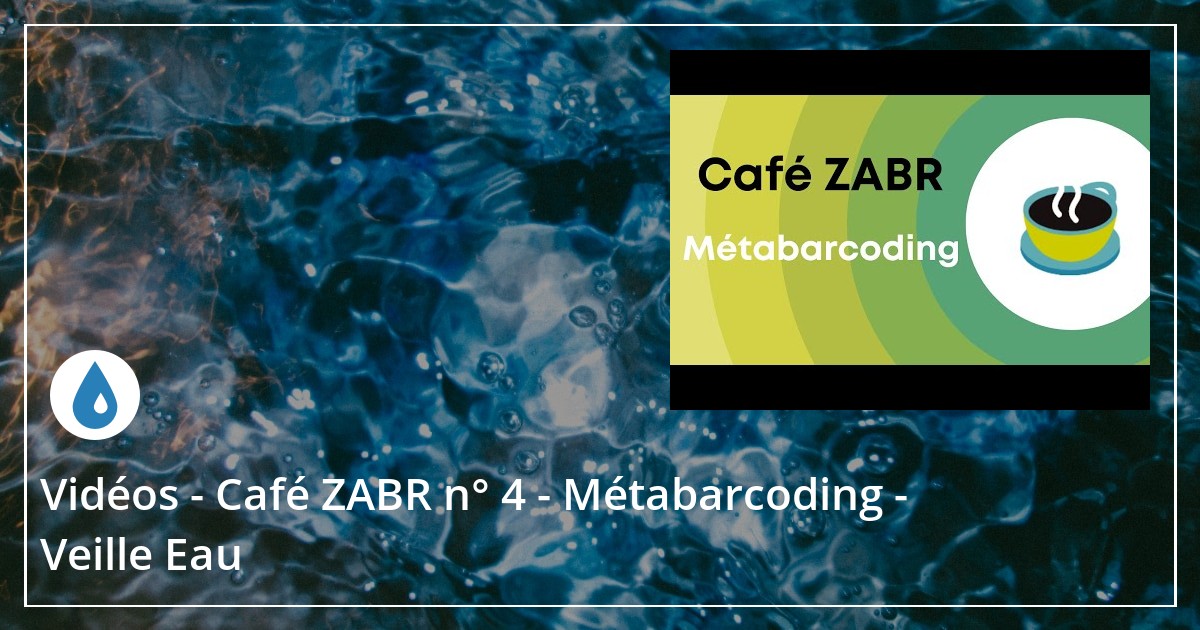 Vidéos - Café ZABR n° 4 - Métabarcoding - Veille Eau