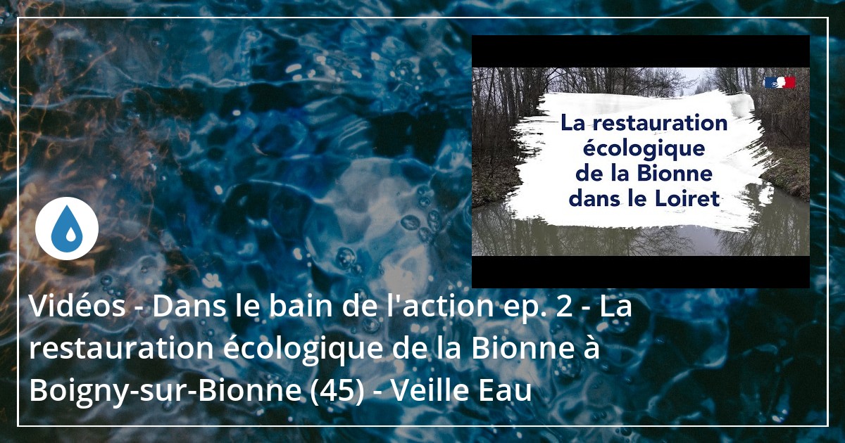 Vidéos - Dans le bain de l'action ep. 2 - La restauration écologique de ...