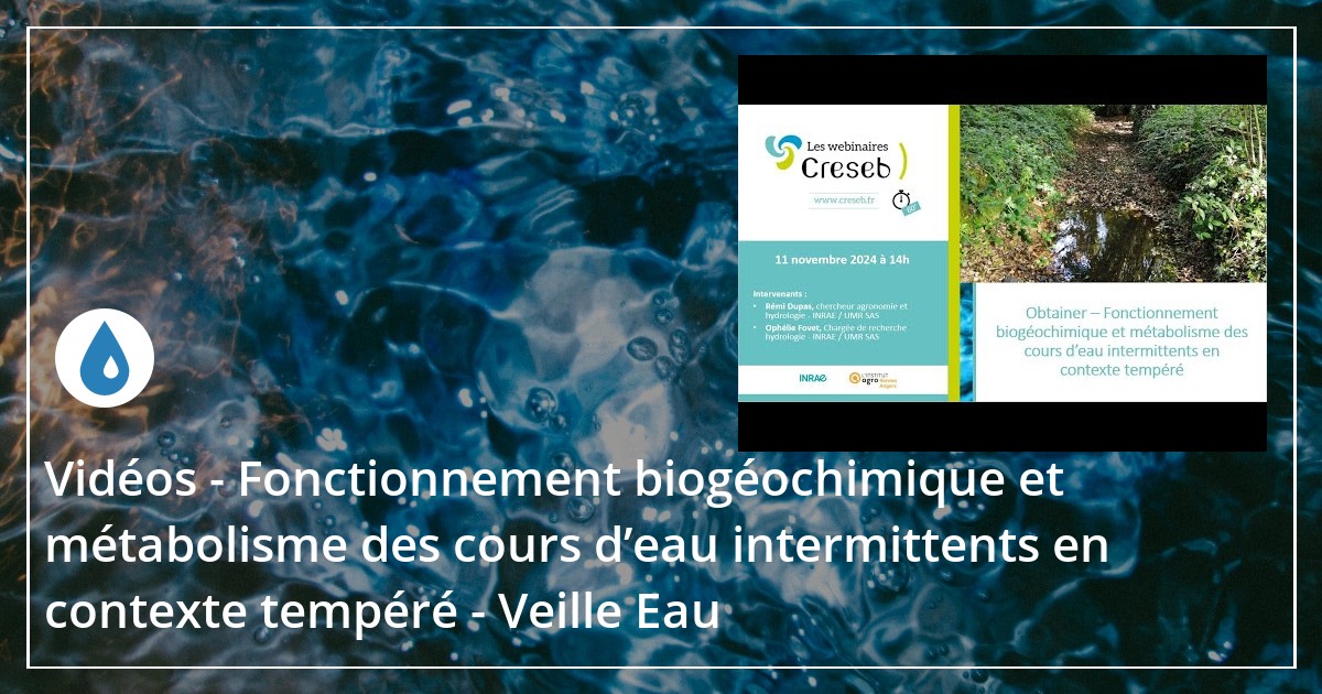 Vidéos - Fonctionnement biogéochimique et métabolisme des cours d’eau ...