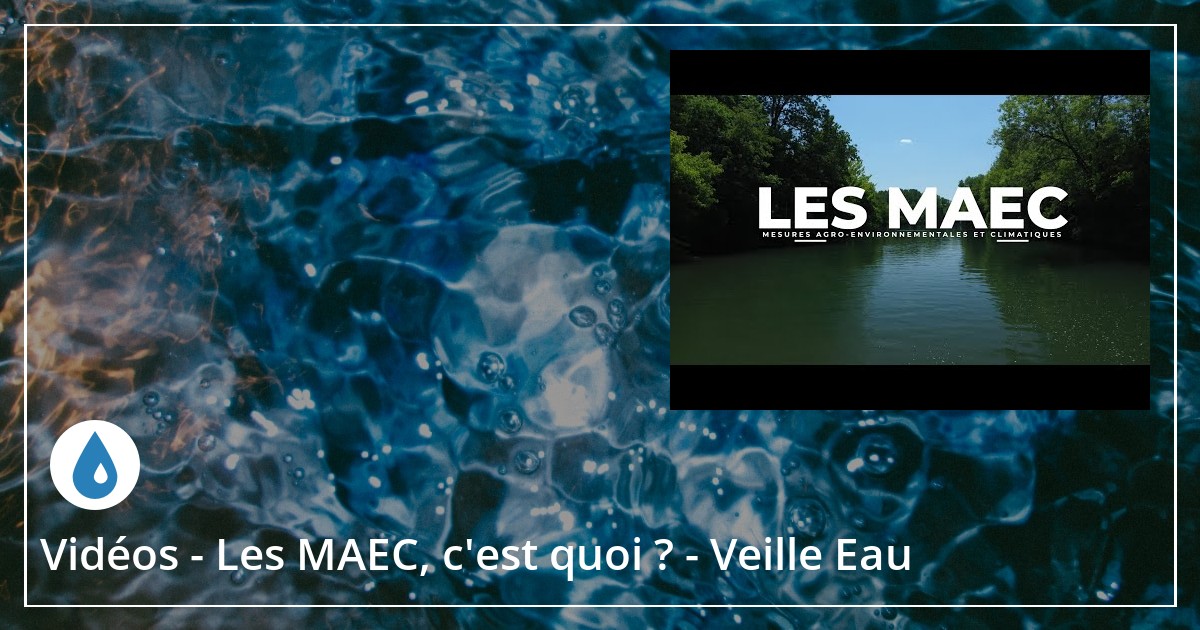 Vidéos - Les MAEC, c'est quoi ? - Veille Eau