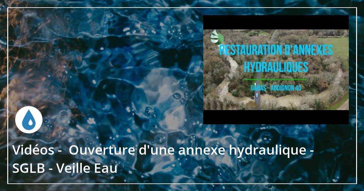 Vidéos - Ouverture d'une annexe hydraulique - SGLB - Veille Eau